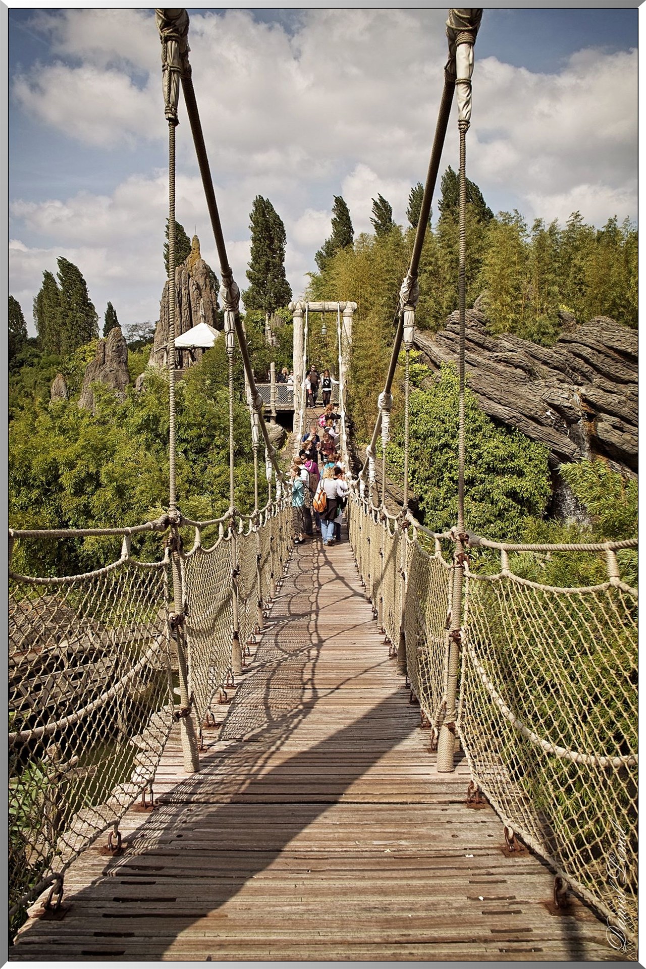 Adventureland - Pont suspendu